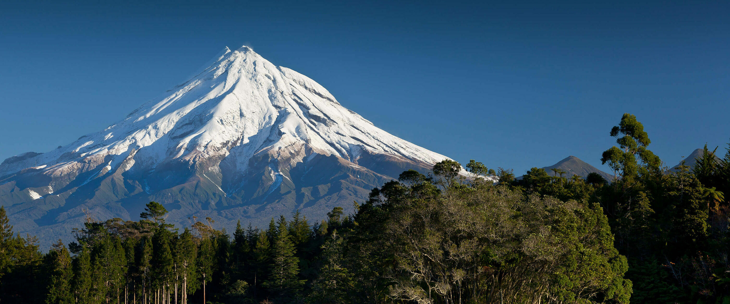 Landmark Homes | Our people in New Plymouth & Taranaki